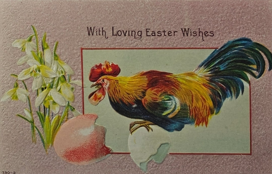 Easter Postcard Rooster With Painted Egg & Spring Flowers - Etsy