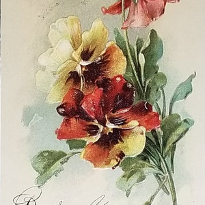 Artist Catherine Klein Flower Postcard Pansies Birthday Greetings ...