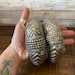 Antique African Tribal Silver Bangle Pair: Chunky Ribbed Anklets - Etsy