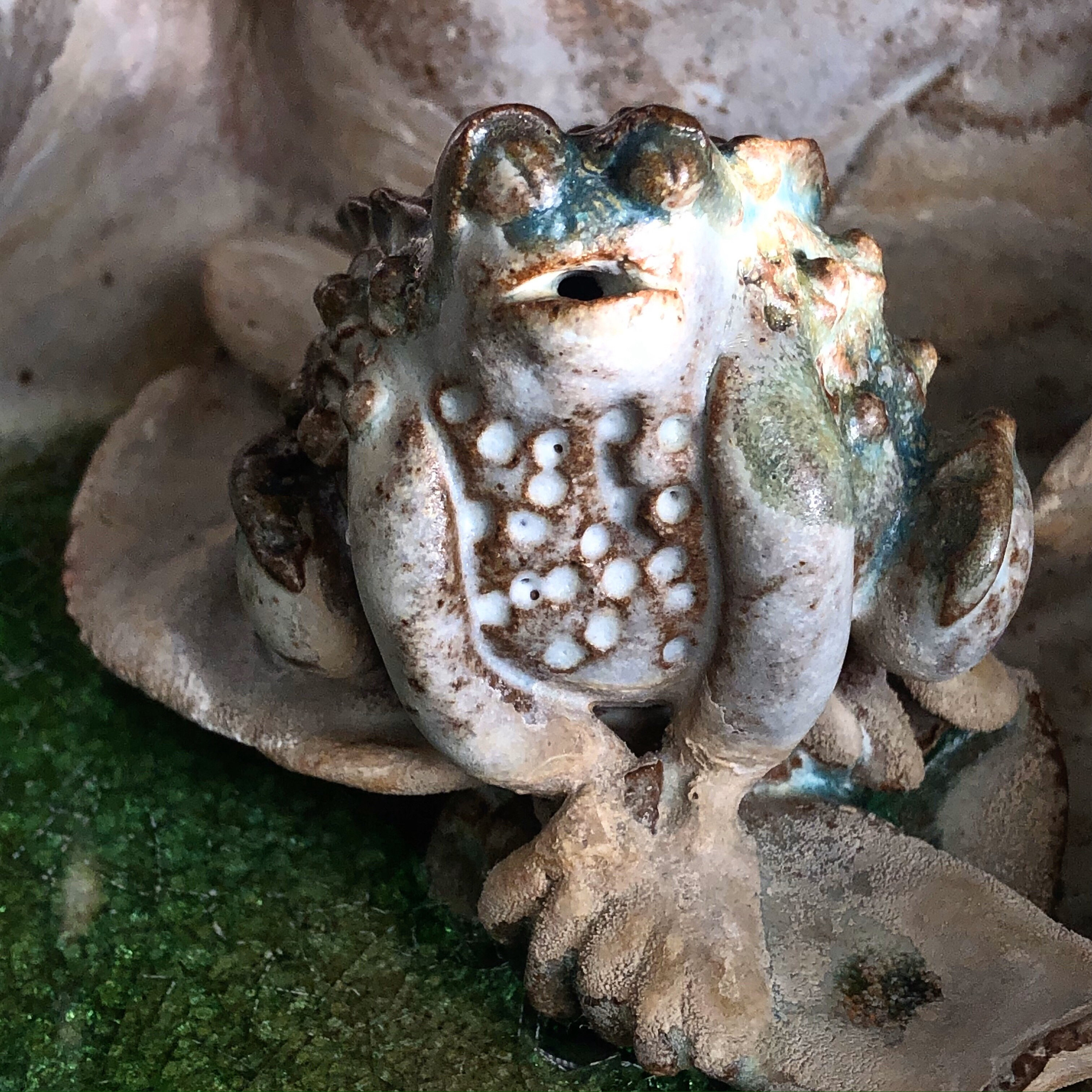 Unique Handmade Glazed Ceramic Pond Platter With Frog Toad | Etsy