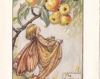 Apple fairy | Etsy