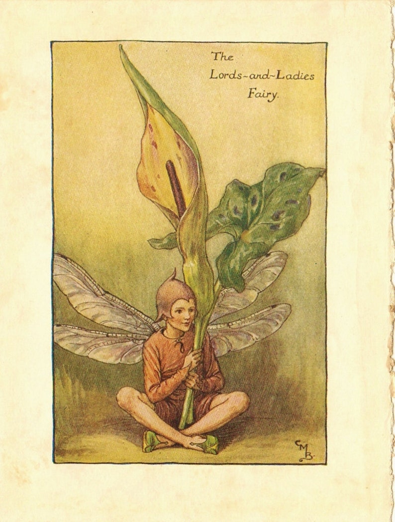 Prints Lithographs The Original 1944 The Dead Nettle Flower Fairy Print ...