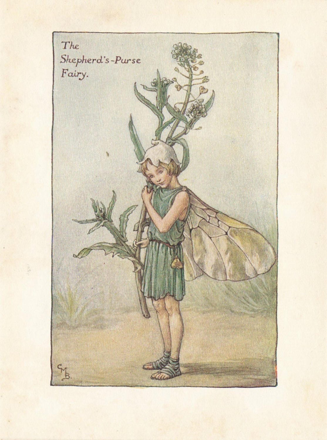 Prints Lithographs The Original 1944 The Dead Nettle Flower Fairy Print ...