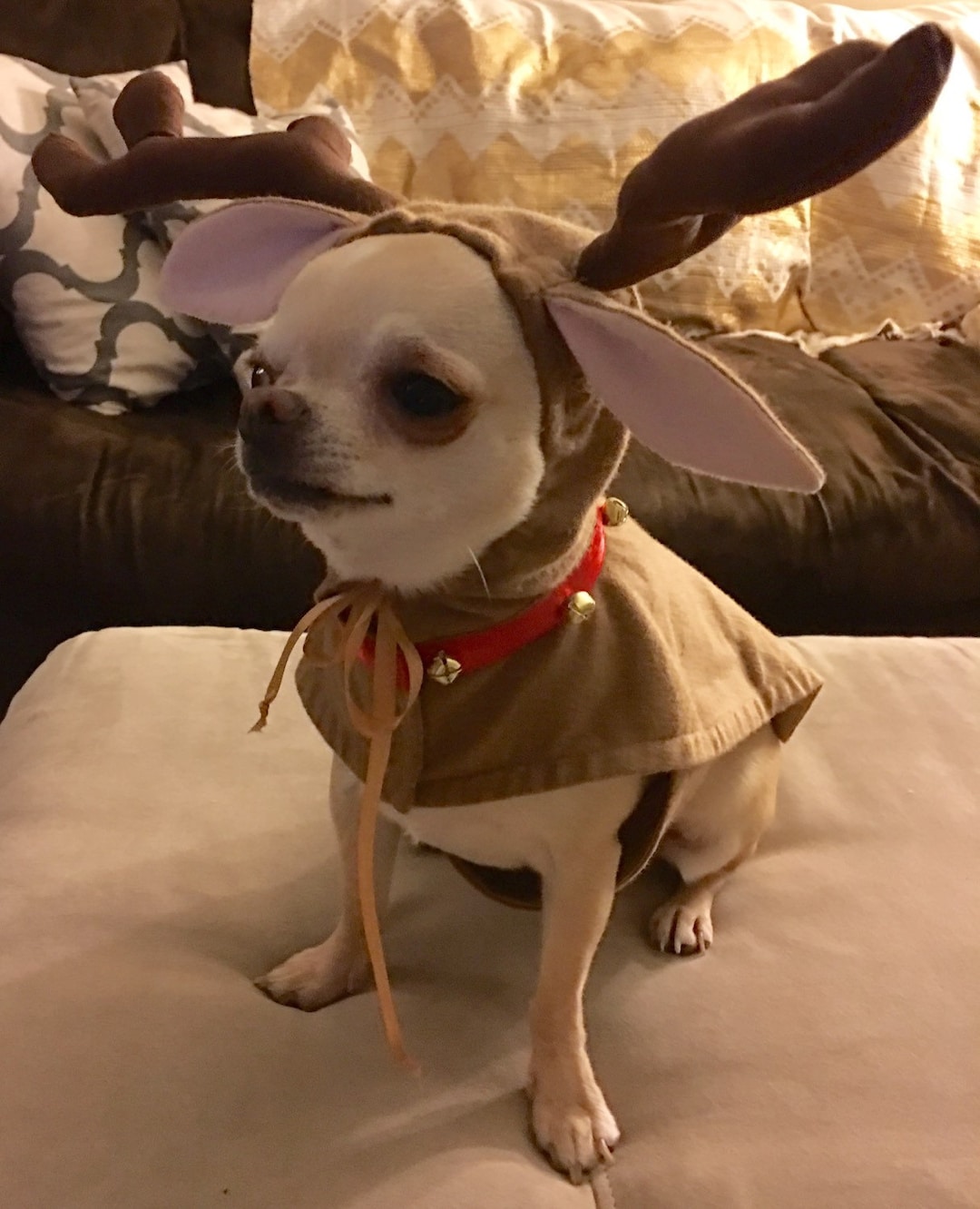 Reindeer Dog Outfit - Etsy