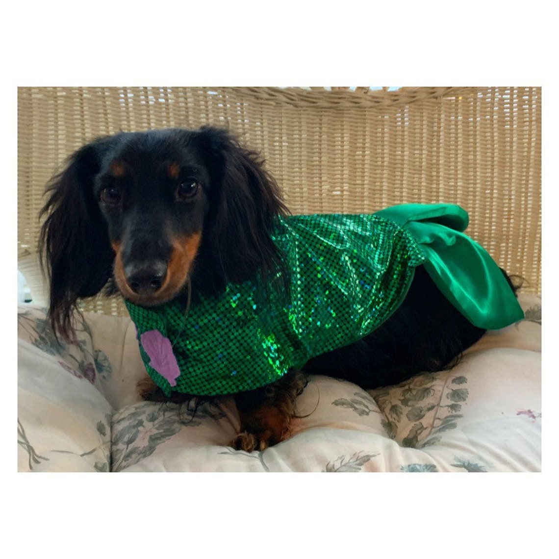 Dog Mermaid Costume/disney Inspired Little Mermaid Costume/pet | Etsy