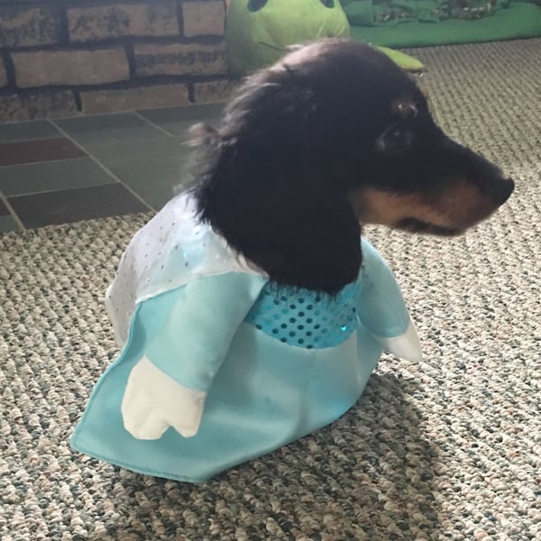 Elsa Dog Costume - Etsy