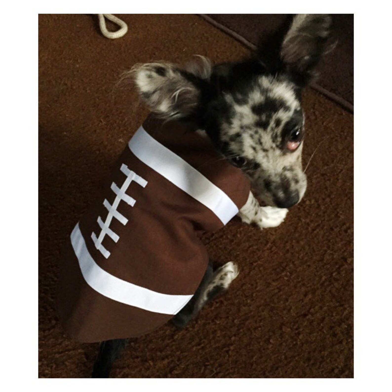 Doggie Football Outfit - Etsy