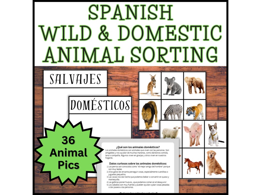 SPANISH Domestic and Wild Animals Classification Sorting Mats & Fun ...