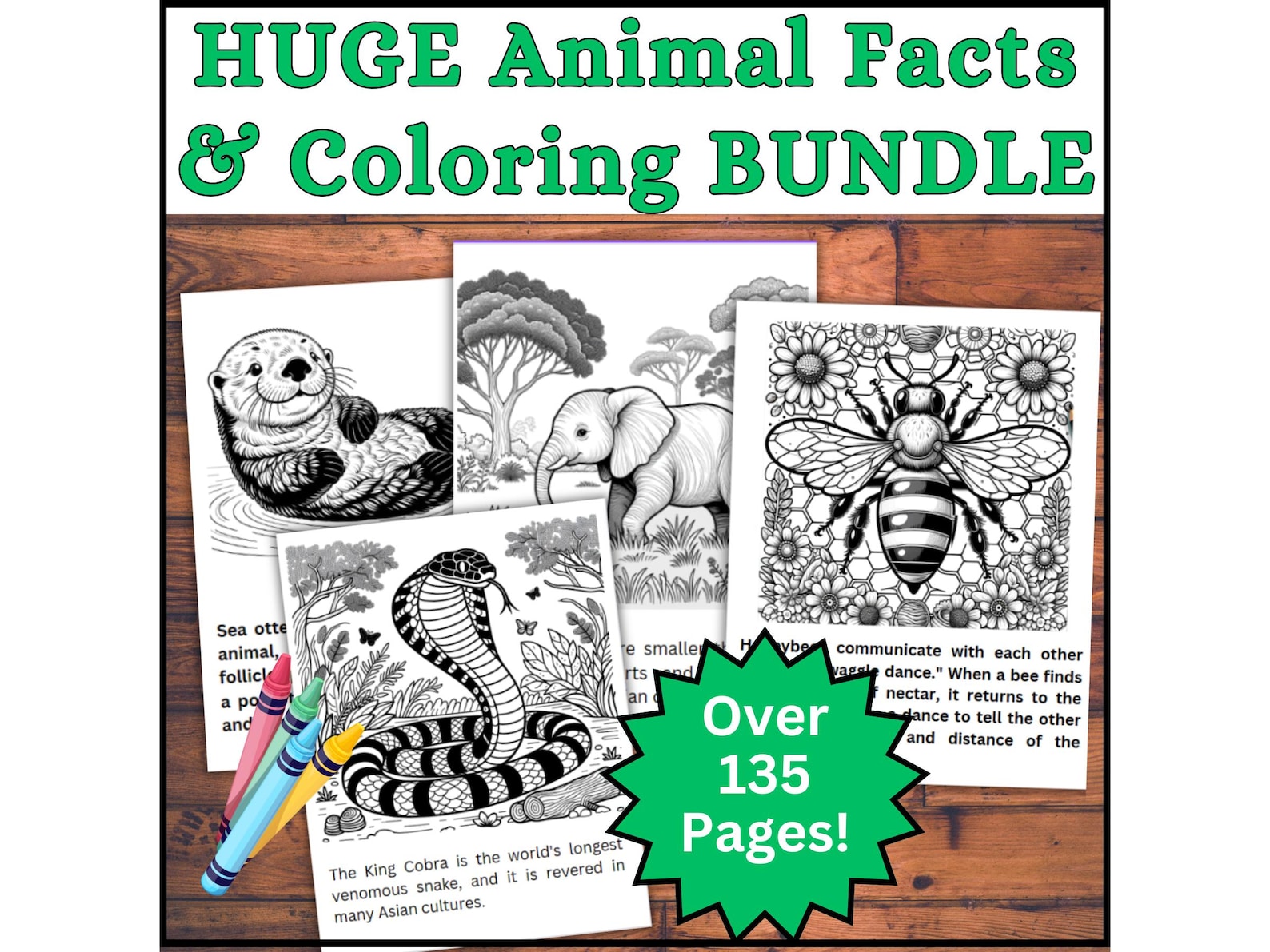 Over 135 Pages! Animal Fun Facts and Coloring Pages Life Science ...