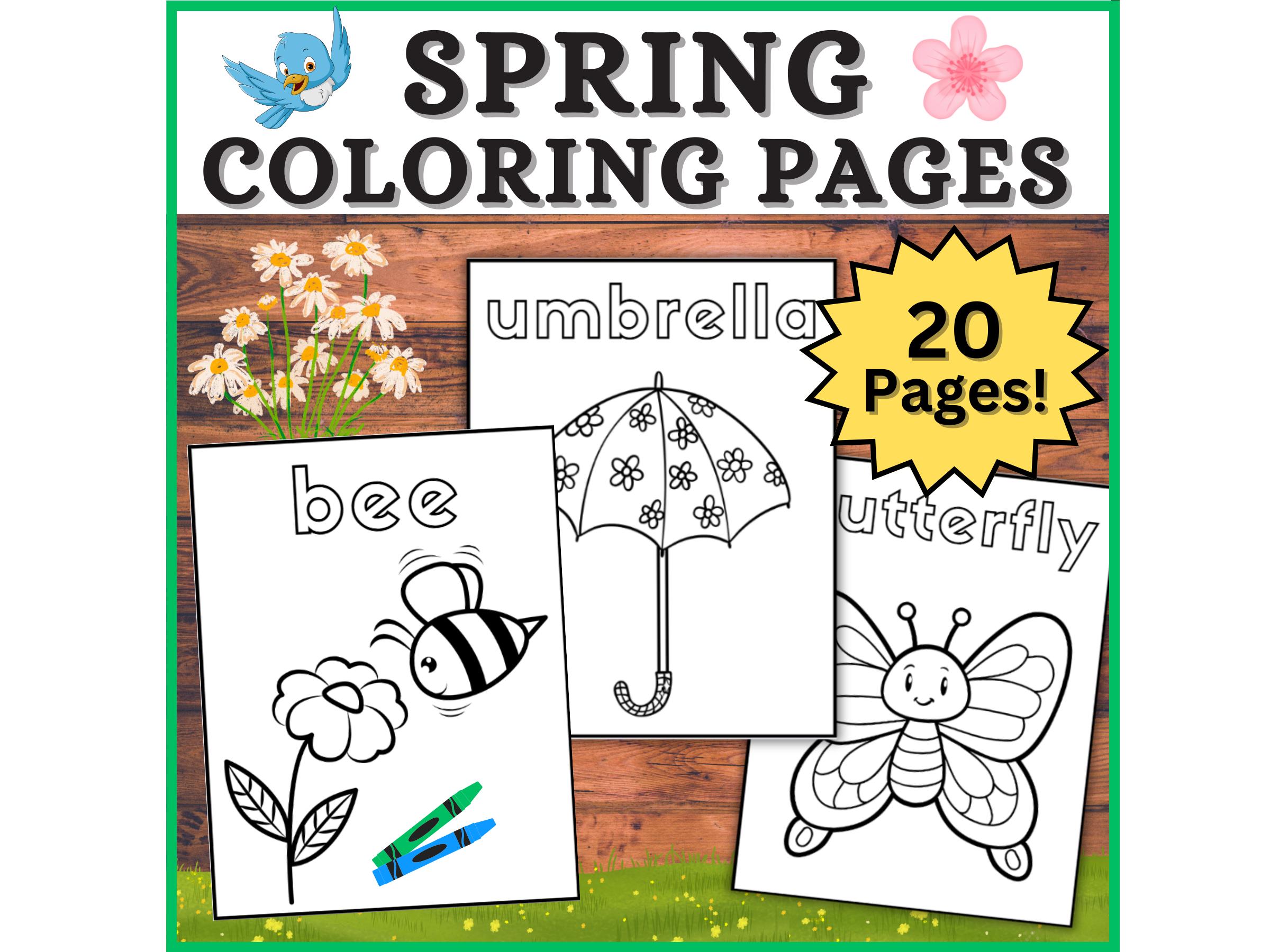 20 Spring Coloring Pages Vocabulary Words Sheets Preschool Craft ...