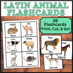 108 Latin Language Flashcards- Latin Numbers, Roman Numerals, Latin ...