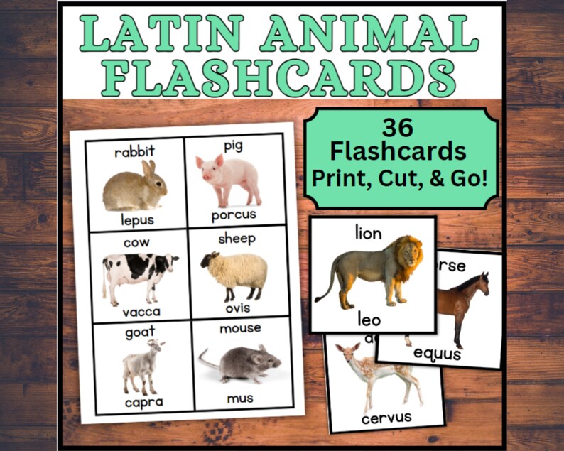 108 Latin Language Flashcards- Latin Numbers, Roman Numerals, Latin ...