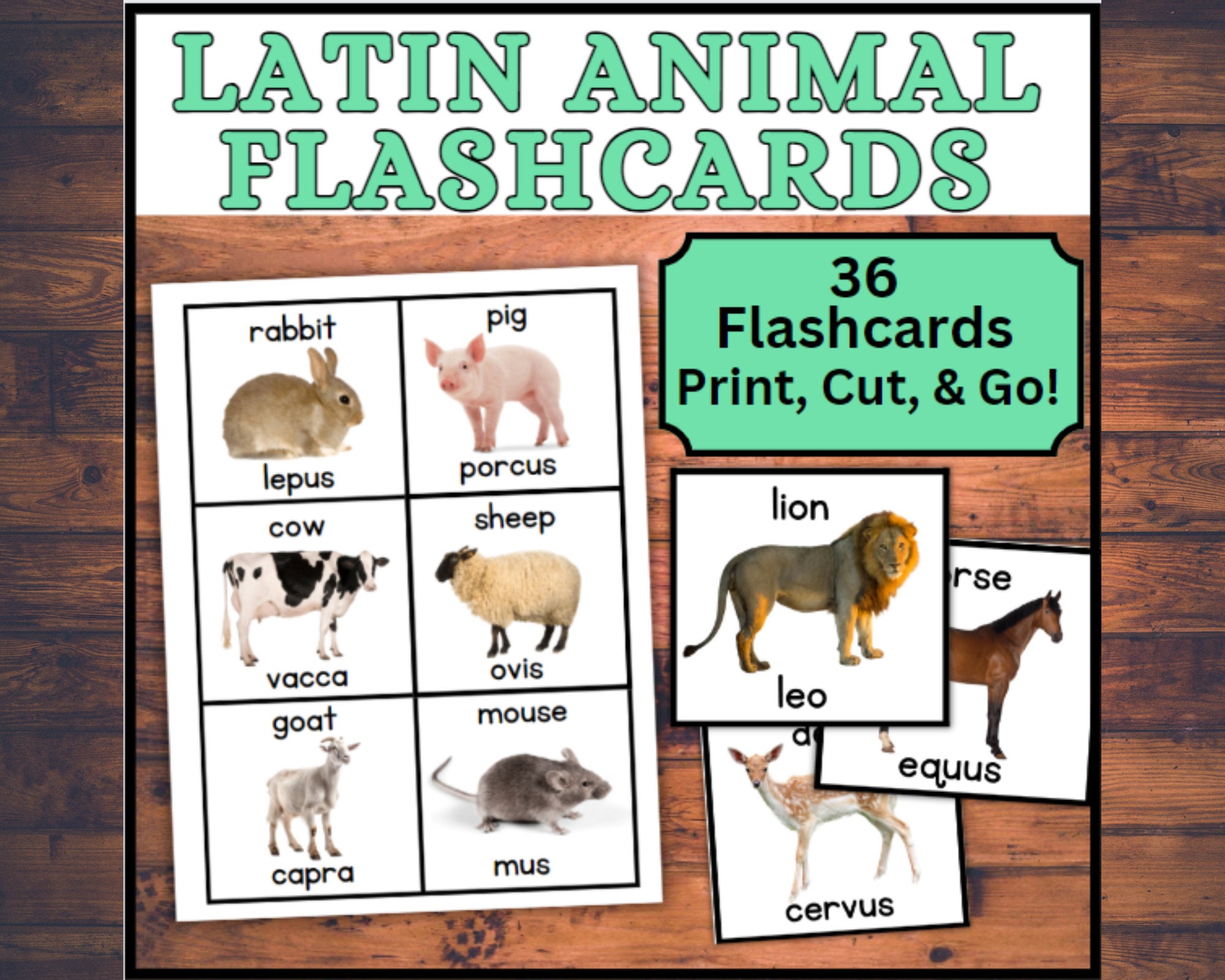 108 Latin Language Flashcards- Latin Numbers, Roman Numerals, Latin ...