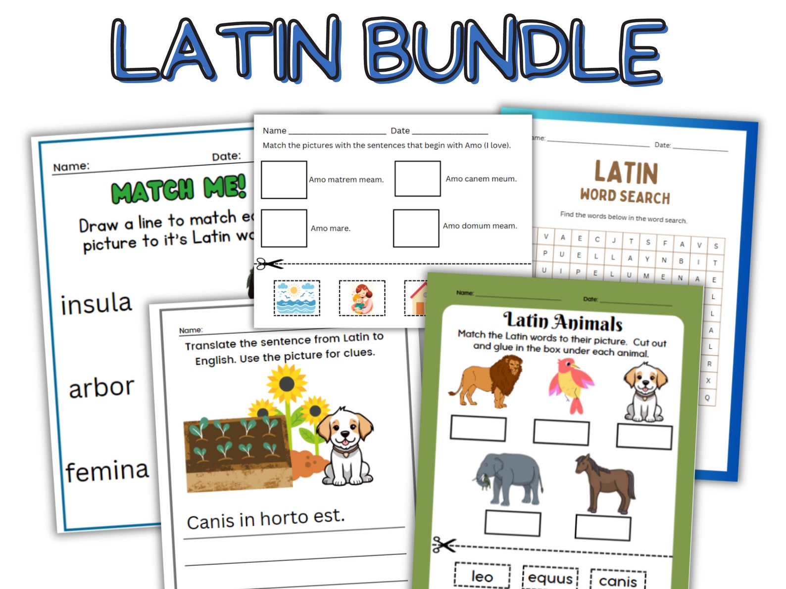 Latin Language Worksheet Bundle - Latin Vocabulary Practice, Latin ...