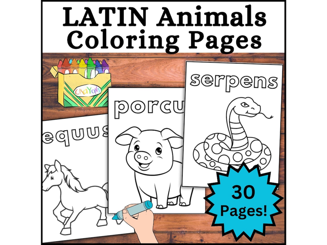 30 Latin Language Animal Coloring Pages, Kindergarten Coloring Sheets ...