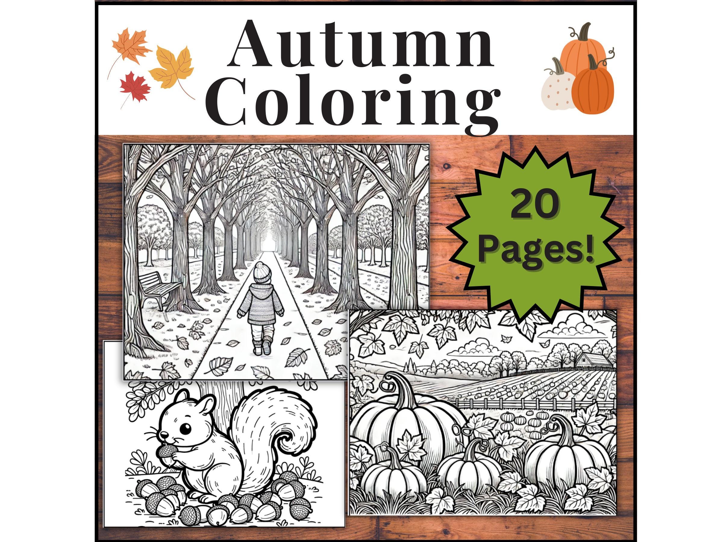 20 Autumn Coloring Sheets Pages Fall Early Finishers Centers October ...
