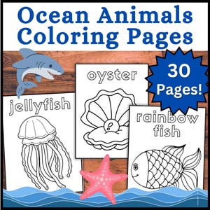 30 Ocean Animals Coloring Pages | Summer Under the Sea Preschool Party ...
