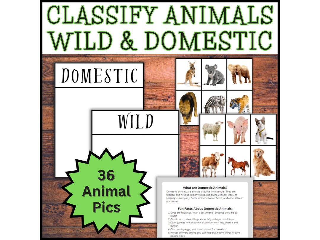 Domestic and Wild Animals Classification Sorting Mats & Fun Facts ...