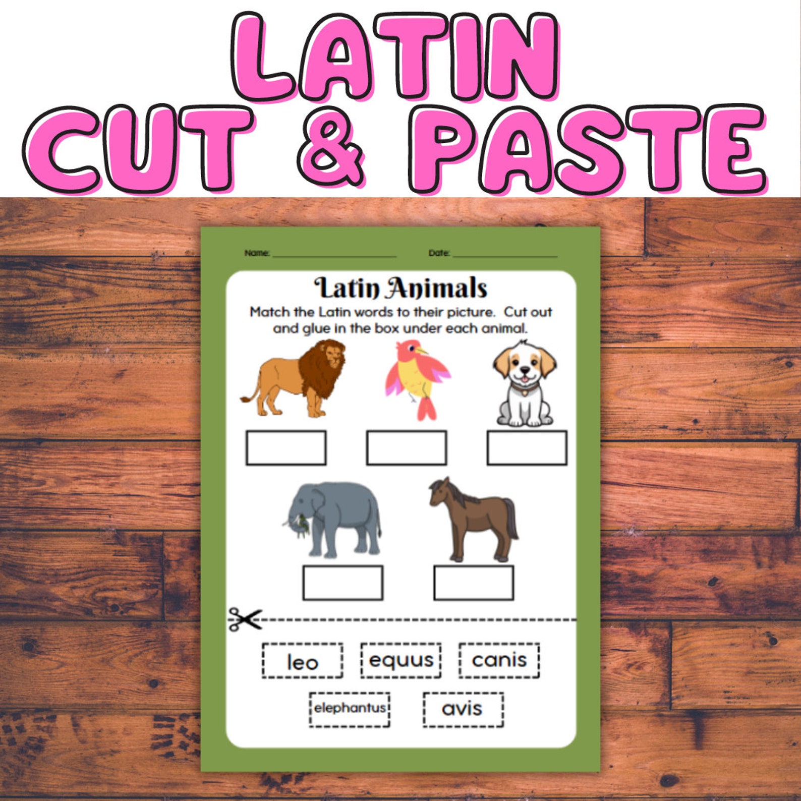 Latin Language Worksheet Bundle - Latin Vocabulary Practice, Latin ...