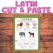 Latin Language Worksheet Bundle - Latin Vocabulary Practice, Latin ...