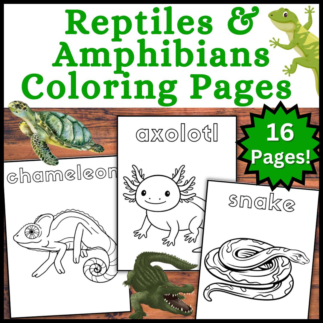 97 Animal Classification Coloring Pages! Classify Mammals Reptiles Fish ...