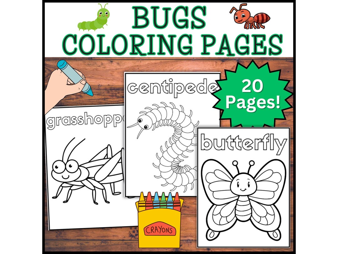 20 Bug Coloring Pages Insect Coloring Sheets With Names Preschool ...
