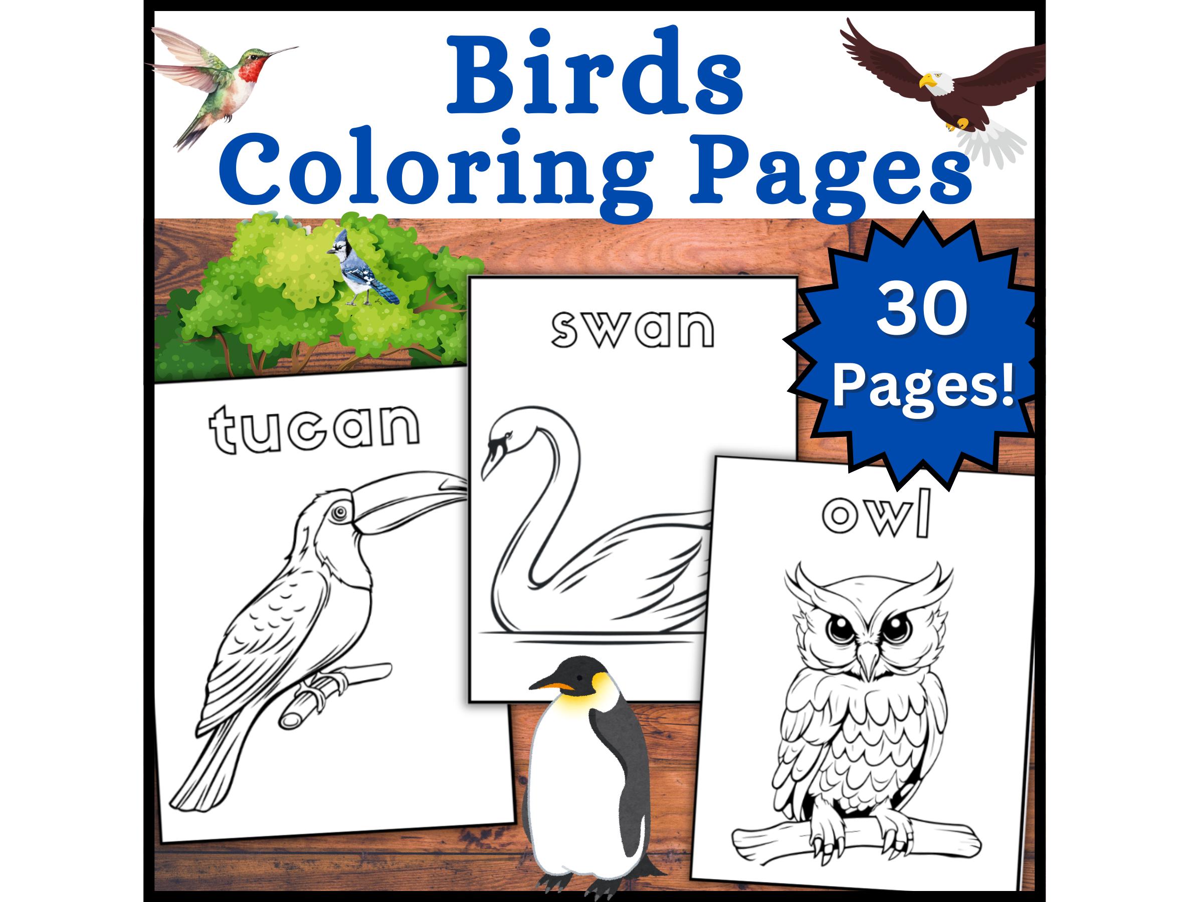 30 Types of Birds Coloring Pages, Classify Animals, ESL Coloring Sheets ...
