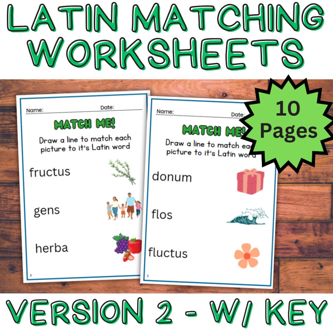 Latin Language Worksheet Bundle - Latin Vocabulary Practice, Latin ...