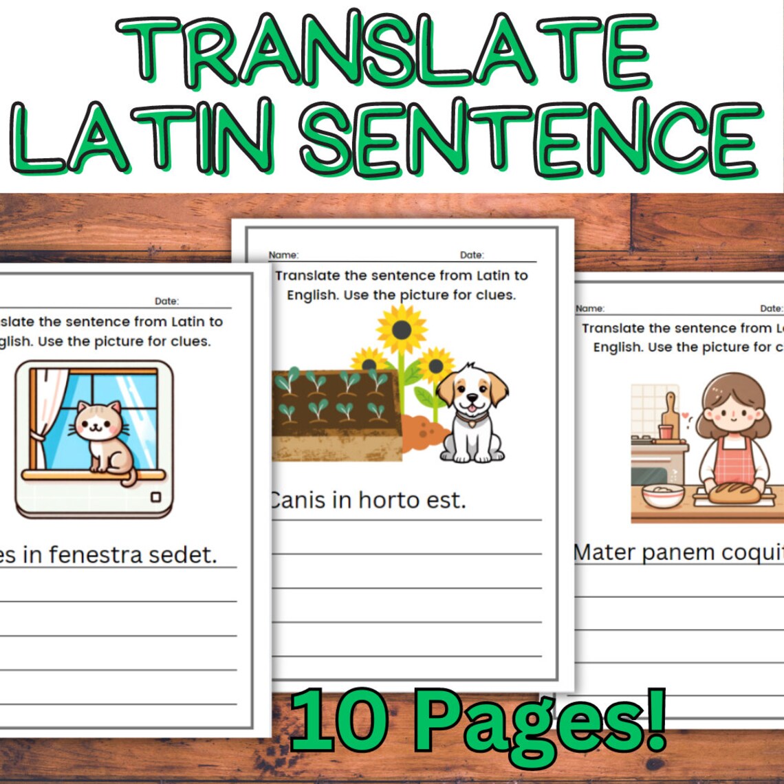 Latin Language Worksheet Bundle - Latin Vocabulary Practice, Latin ...