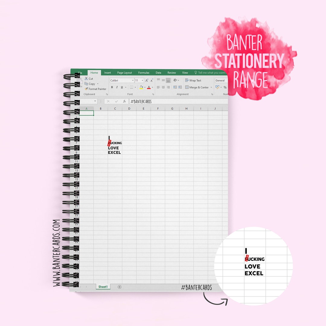 I *ucking Love Excel Paperback Notepad,work Notepad,funny Notepad,rude ...