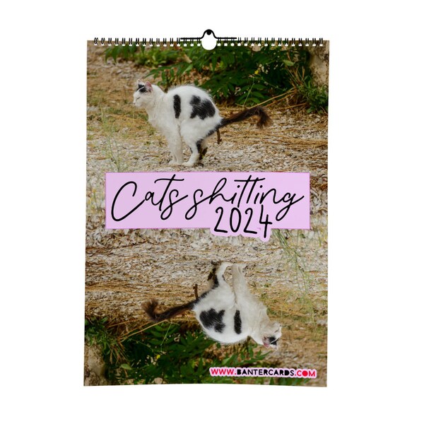 Cat Desk Calendar 2024 - Etsy