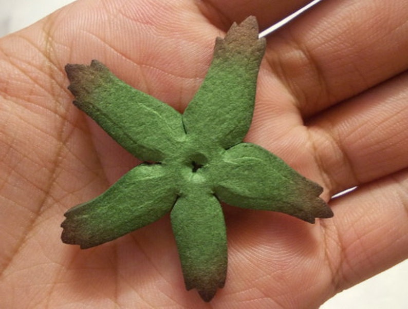 Sepal 100 PCS Size 2 Mulberry Paper Sepal Calyx - Etsy