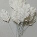100 Big Leaf size 1.25x2 Mulberry Paper Craft Leaves, Paper Leaf, White ...