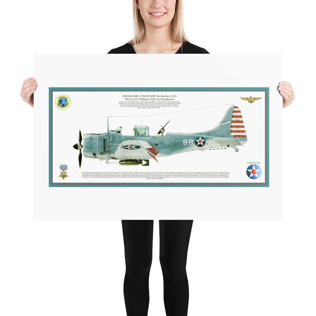 Kunstdruck, 60cm X 36cm Douglas SBD-3 Dauntless William Howard , MOH ...