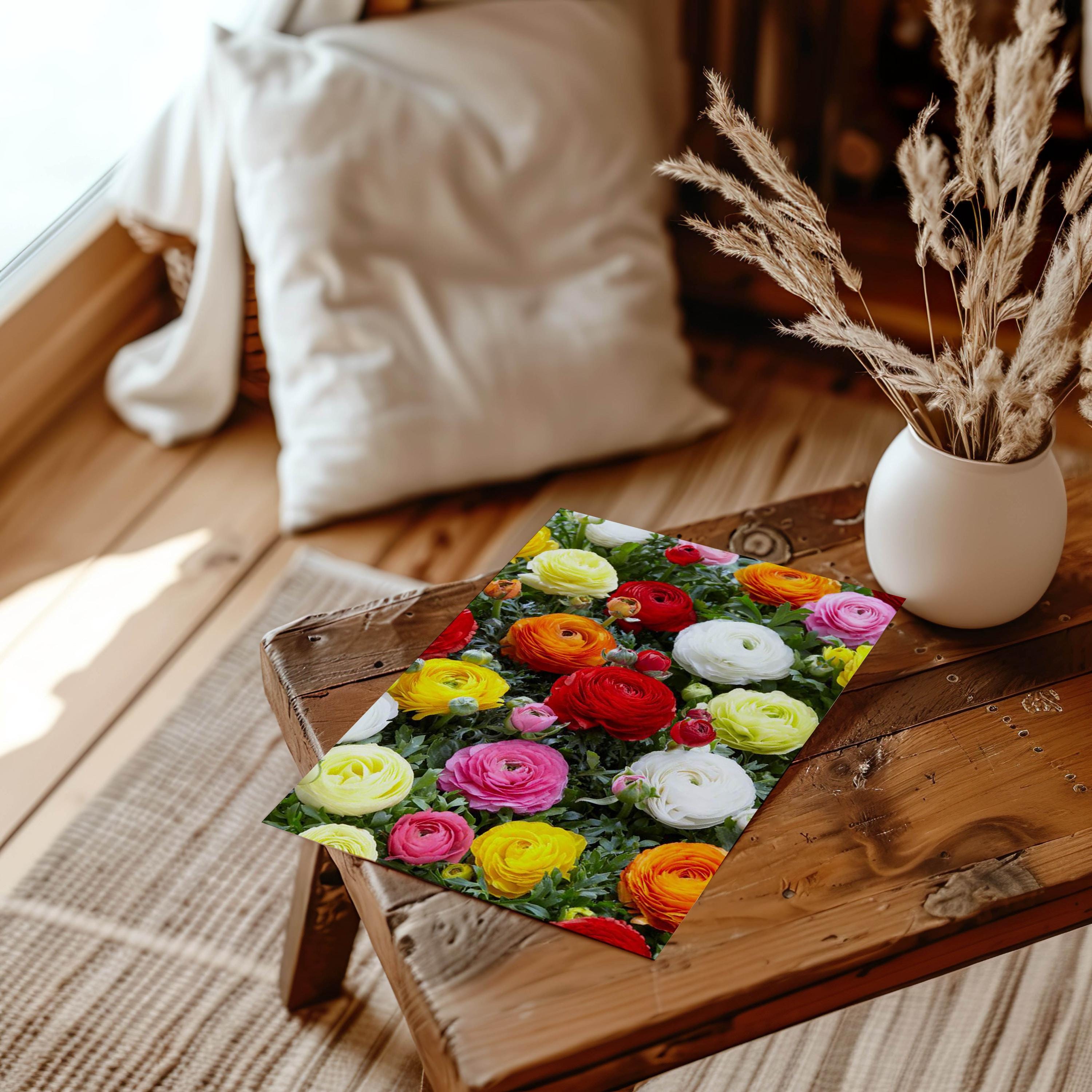 Complete Growing Instructions for Ranunculus Flowers for Zone 4 ...