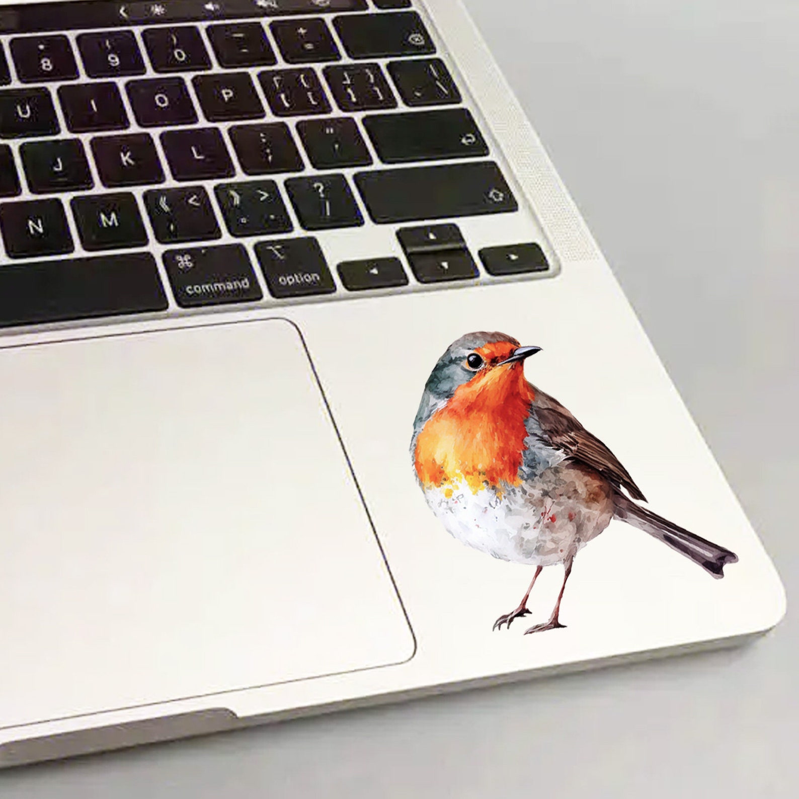 Robin Stickers Window Decal Gardener's Friend Wall - Etsy