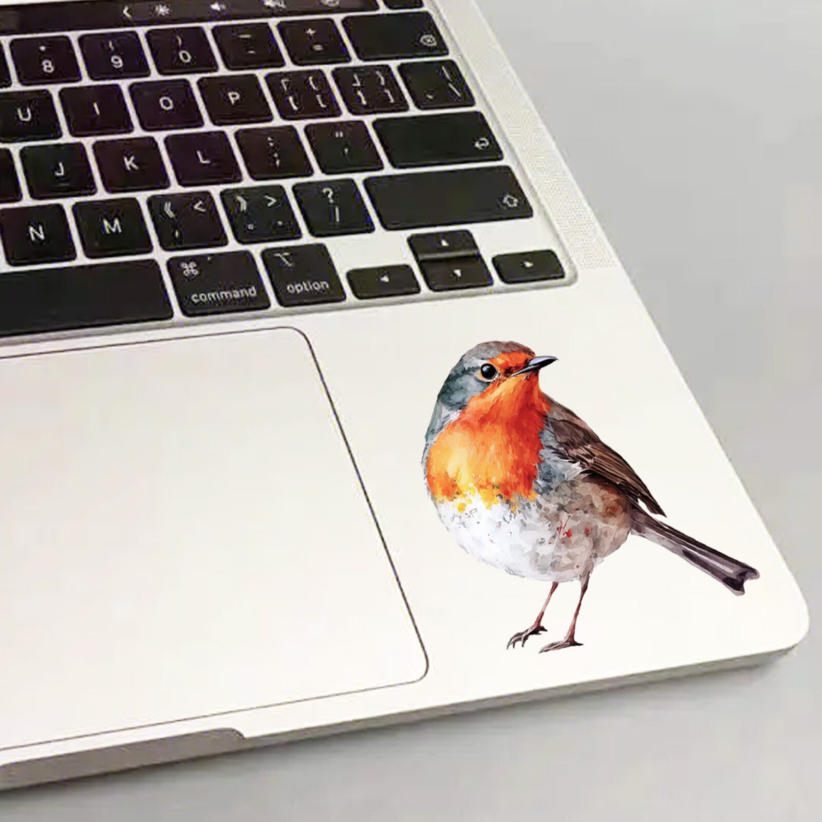 Robin Stickers Window Decal Gardener's Friend Wall - Etsy