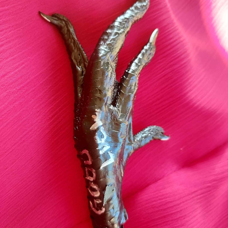 Hoodoo Chicken Feet - Etsy