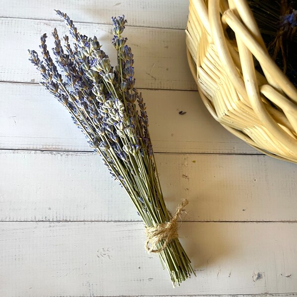 Lavender Sprigs - Etsy