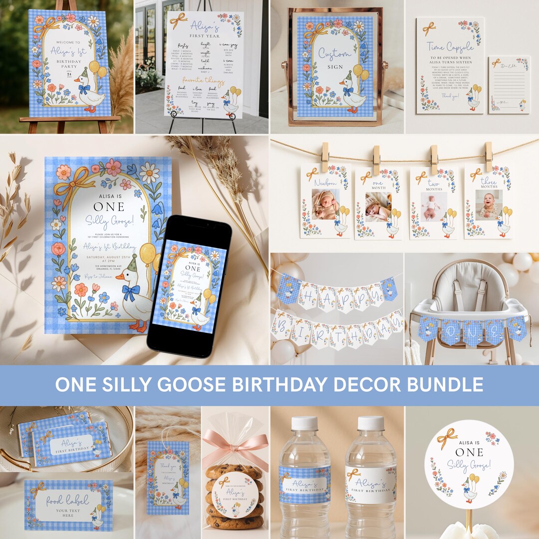 Silly Goose Birthday Bundle,blue Gingham Floral,invitation & Party ...