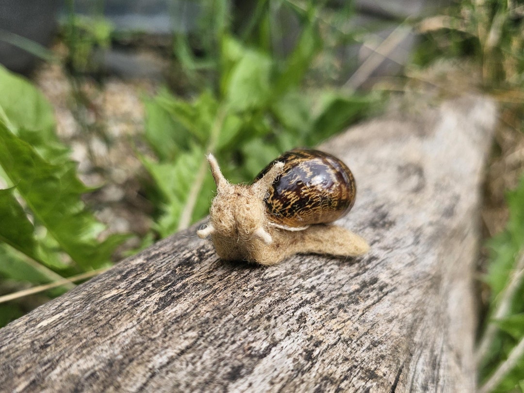 Felted Snail - Handmade Needle Felted Realistic Snail, Real Shell ...