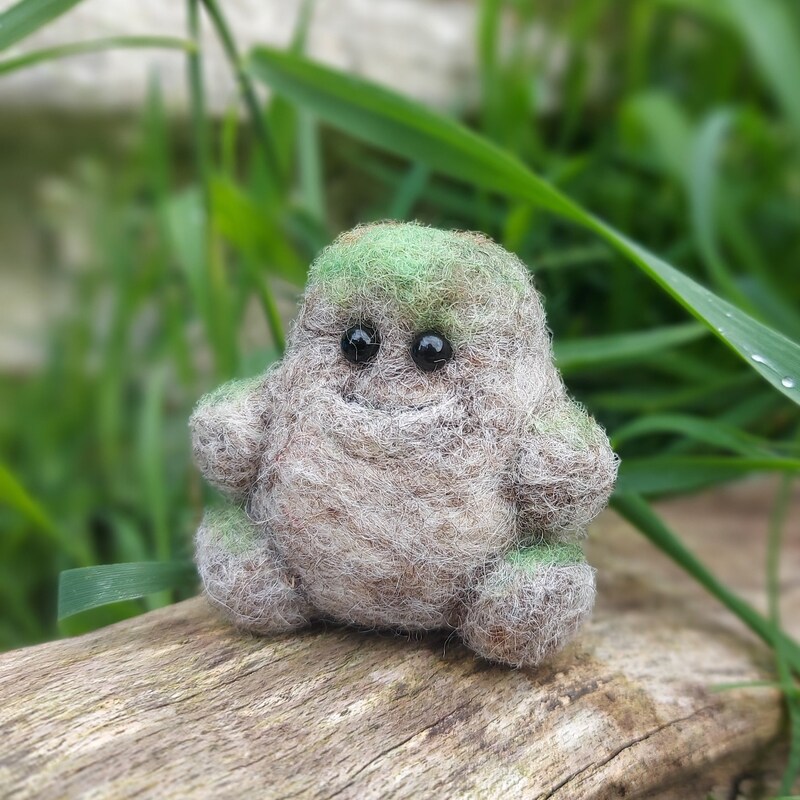 Pet Rock - Etsy