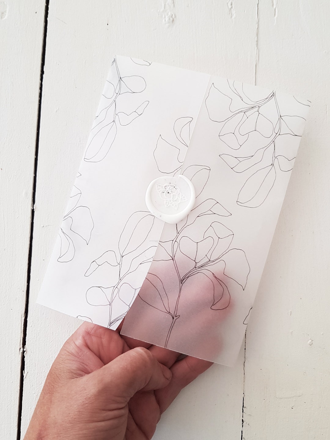VELLUM Belly Band/sample Set - Etsy Australia