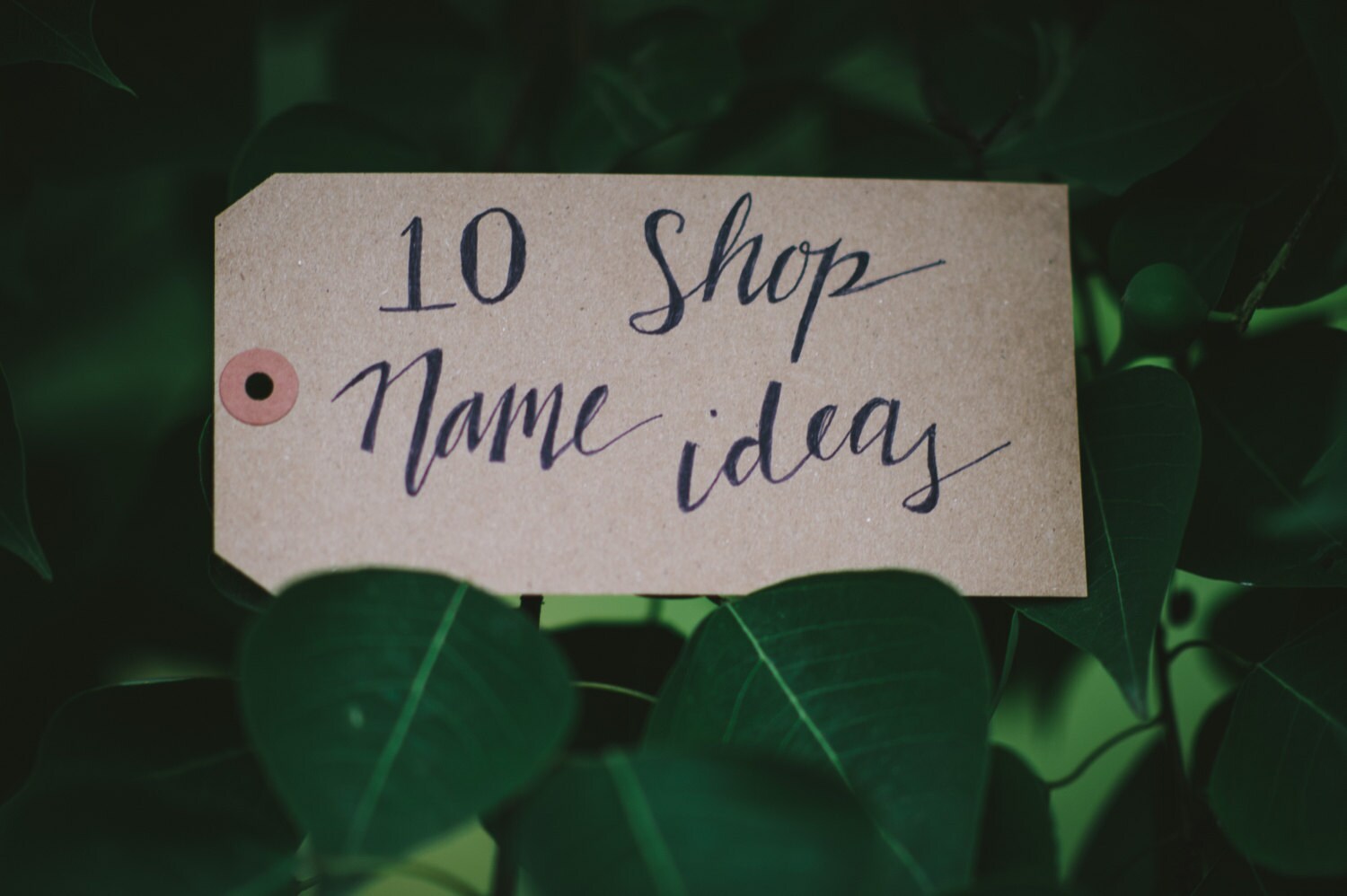 Etsy Shop Name Ideas Examples And Forms Etsy Shop Name Ideas Examples And Forms
