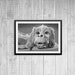 FALCOR Reproduction of Original Pastel Drawing / Falcor / the ...