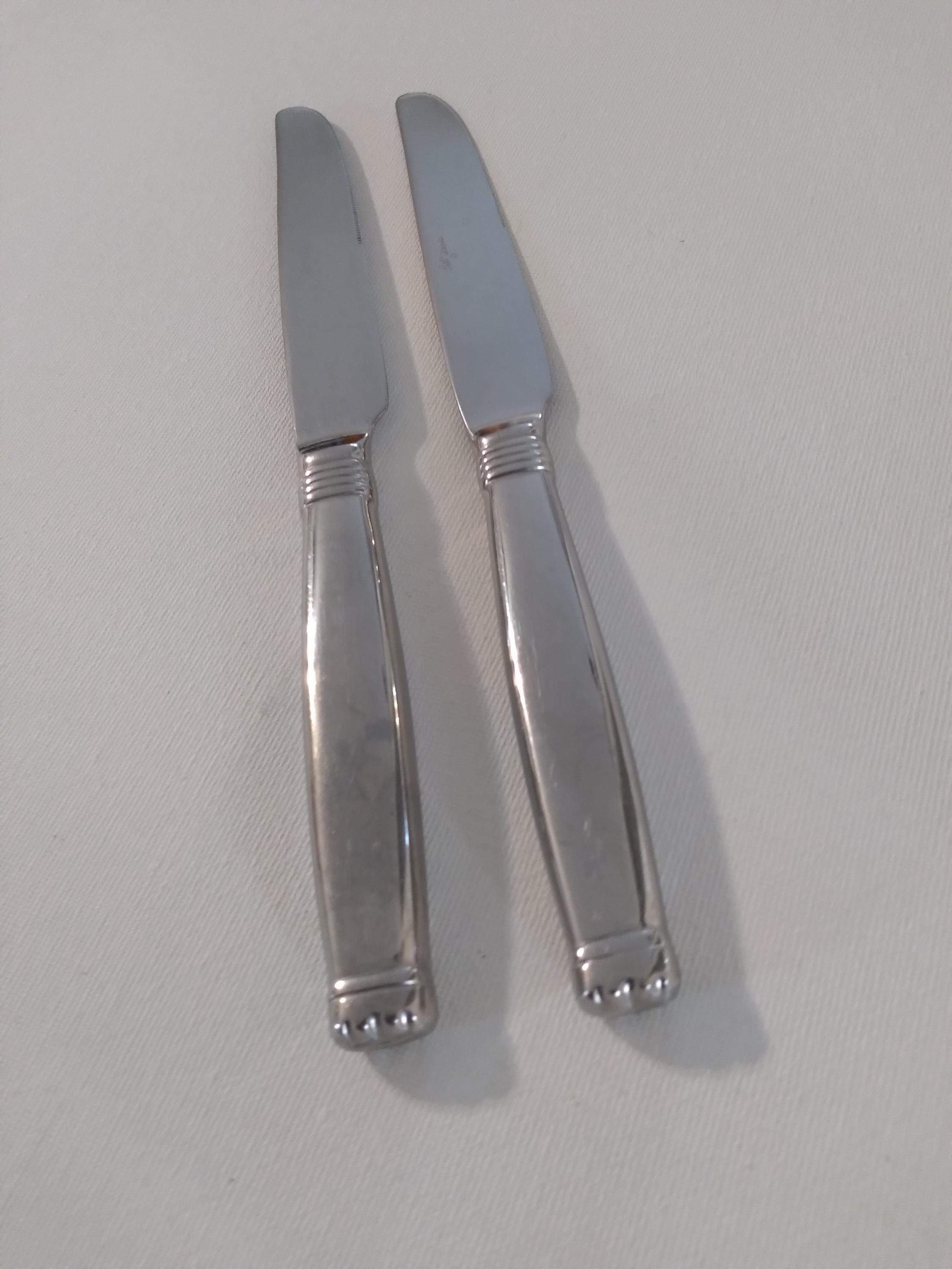Tuttle Tiara 2 Dinner Knives Glossy Stainless Flatware - Etsy