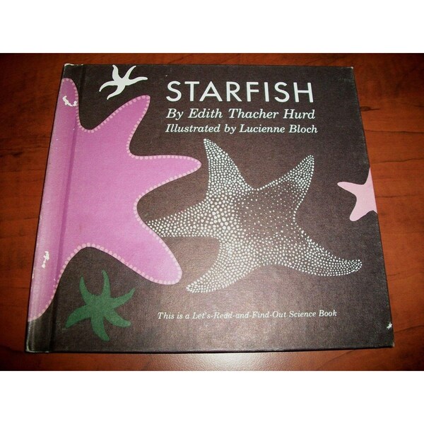 Lets Read and Find - Etsy