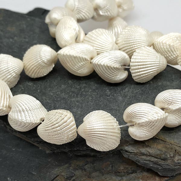 Clam Shell Beads - Etsy
