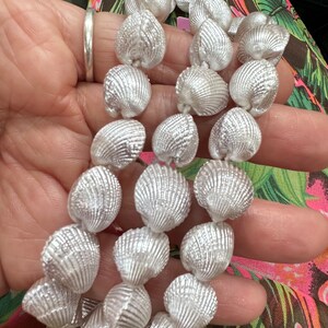 Natural Double Cockle Drilled Shell Beads Square 15 - 25 Mm Approx ...