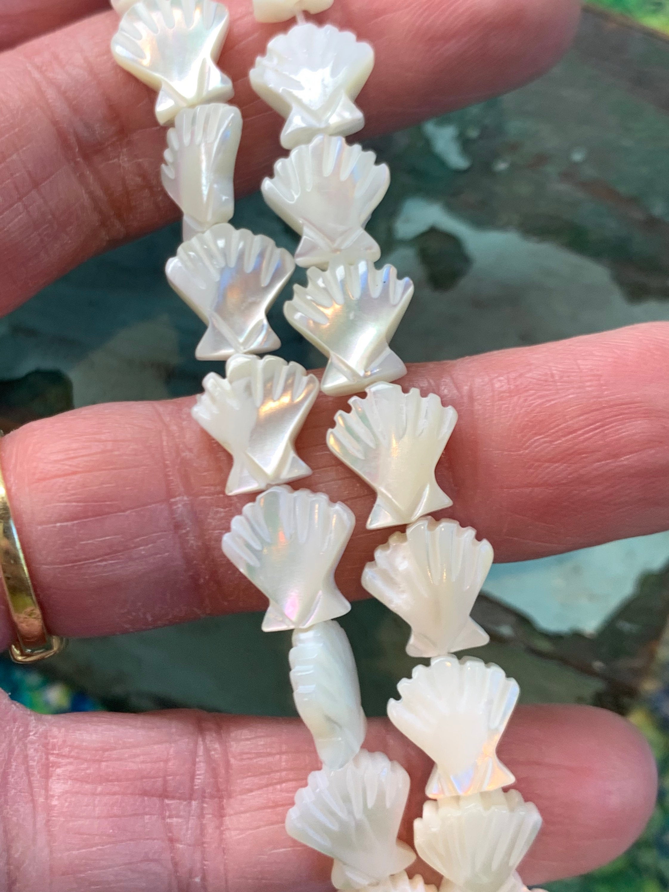 Beautiful Mother of Pearl carved Shells Cockle shell pearly | Etsy